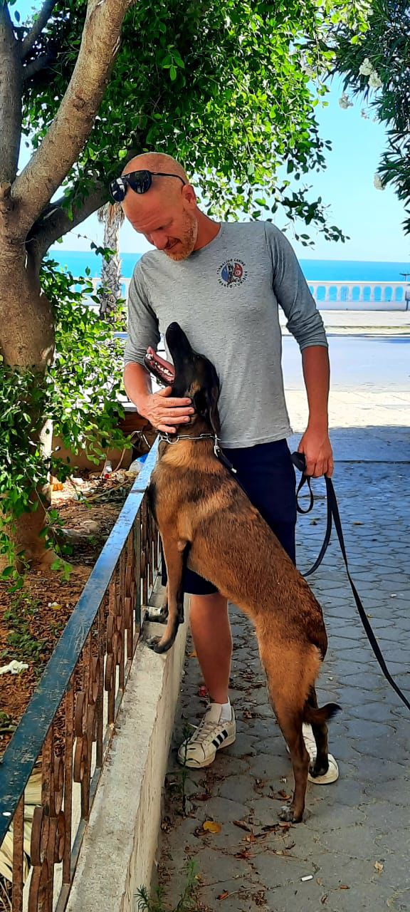 Formation Education Canine à Tunis avec DOGSCHOOL-TN